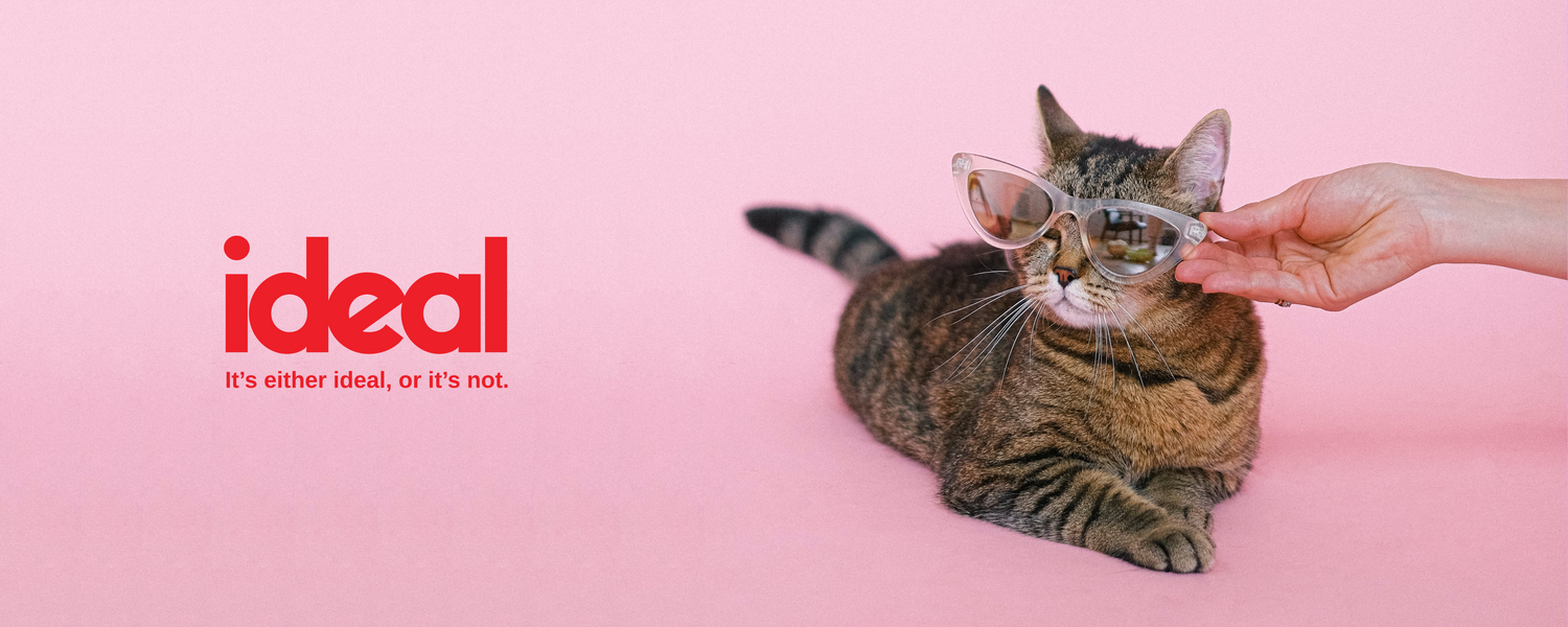 Ideal Cat Food – AVIP
